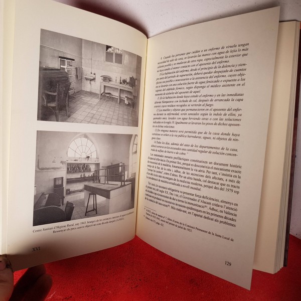 LA LLUITA PER LA VIDA A LA DÉNIA CONTEMPORÁNEA llibre història comprar LA LLUITA PER LA VIDA A LA DÉNIA CONTEMPORÁNEA llibre història comprar